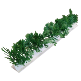 Buy Fischer Parsley Garnish Divider | Low Price | Free Delivery