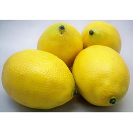Loose Lemon For Display (Pack of 12)