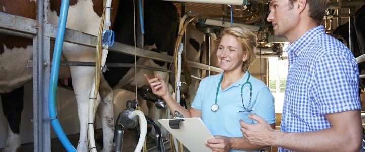 £3 billion in funding to support British farmers in 2020 - Butchers ...